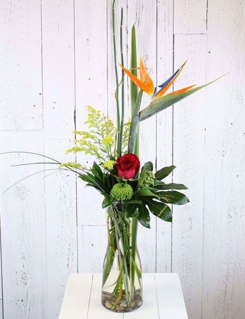 Paradise | Happy Life Flowers
