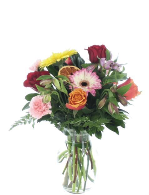 Positive Energy Flowers | Tropical Proteas Calgary |Calgary Florists ...